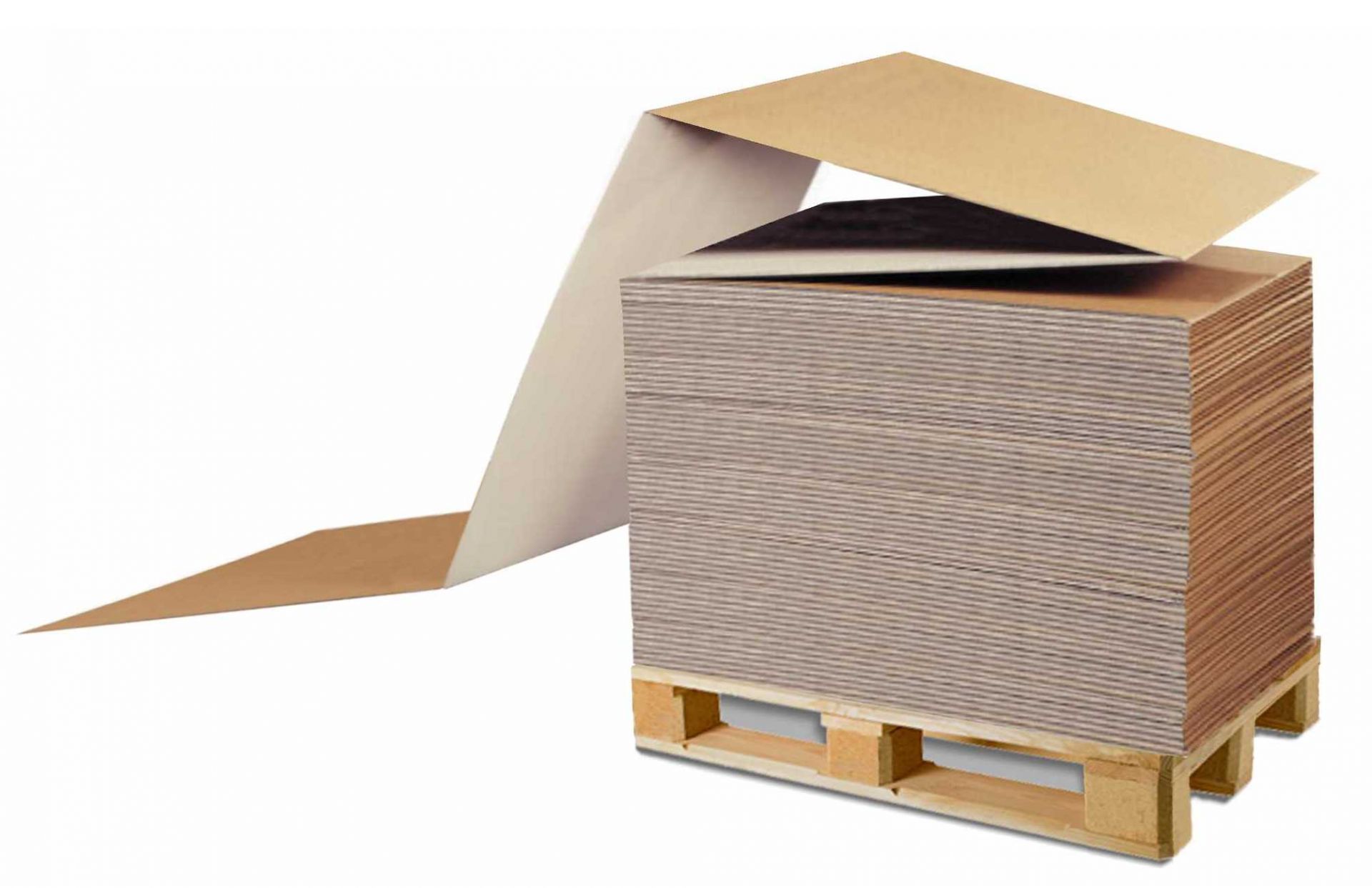 Endlos-Wellpappe online kaufen | TIMPACO